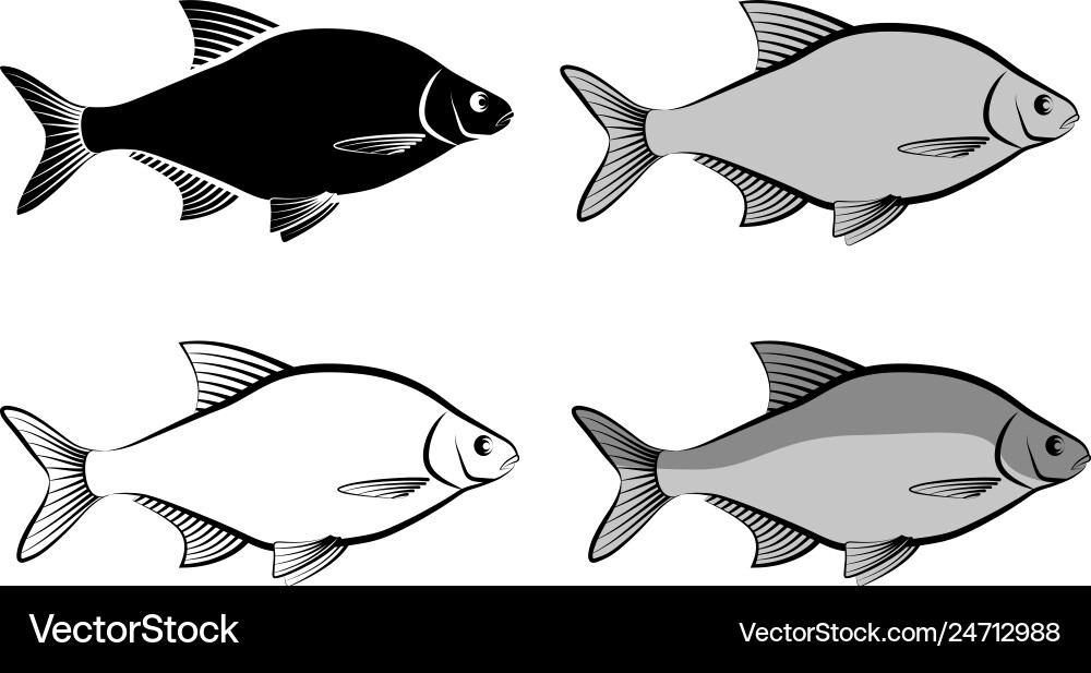 Bream Royalty Free Vector Image - VectorStock