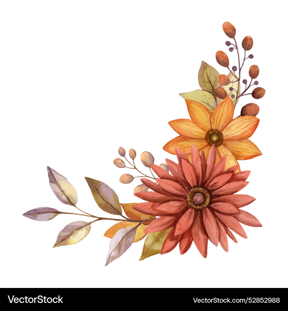 Fall flower watercolor corner arrangement – Royalty-Free Vector ...