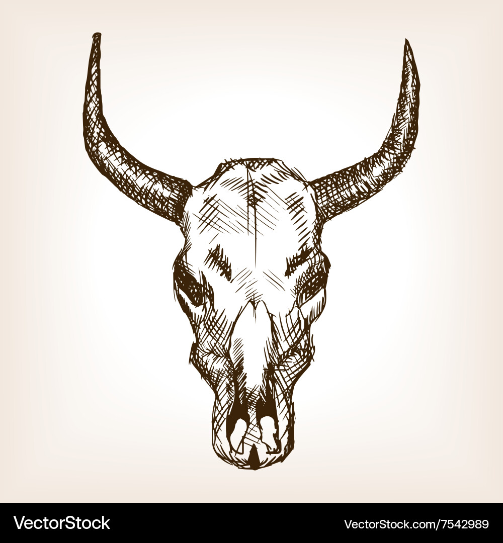 Cow skull hand drawn sketch style Royalty Free Vector Image