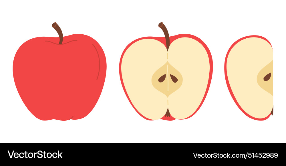 Cute apple object collectionwhole cut in half Vector Image