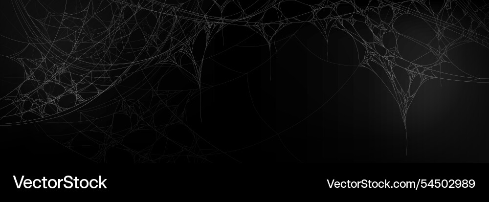 Delicate white spider web structure Royalty Free Vector