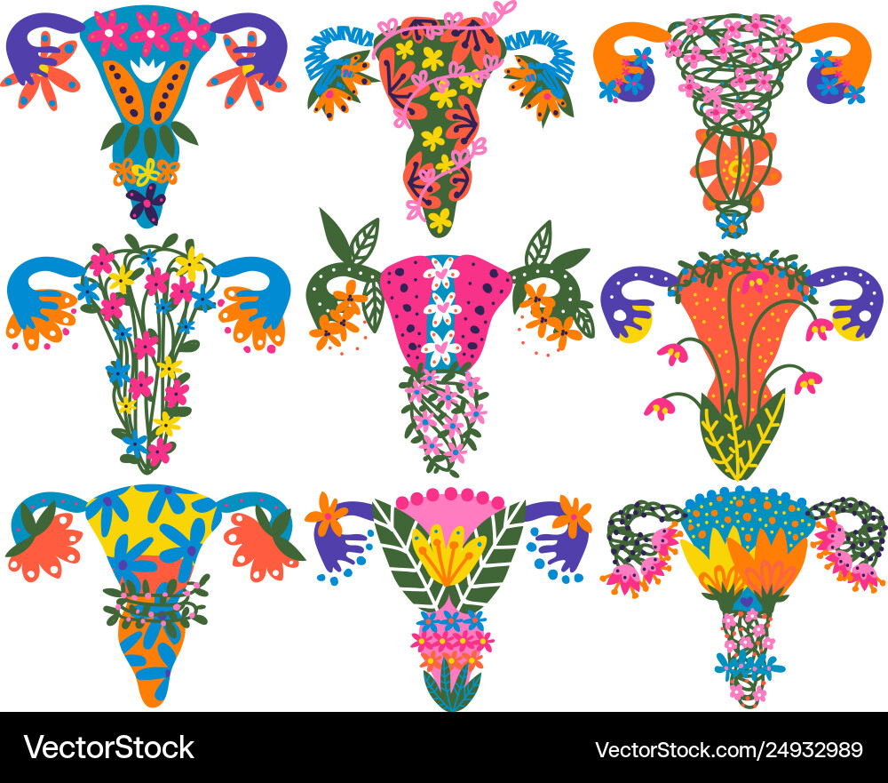 Female reproductive system made colorful Vector Image