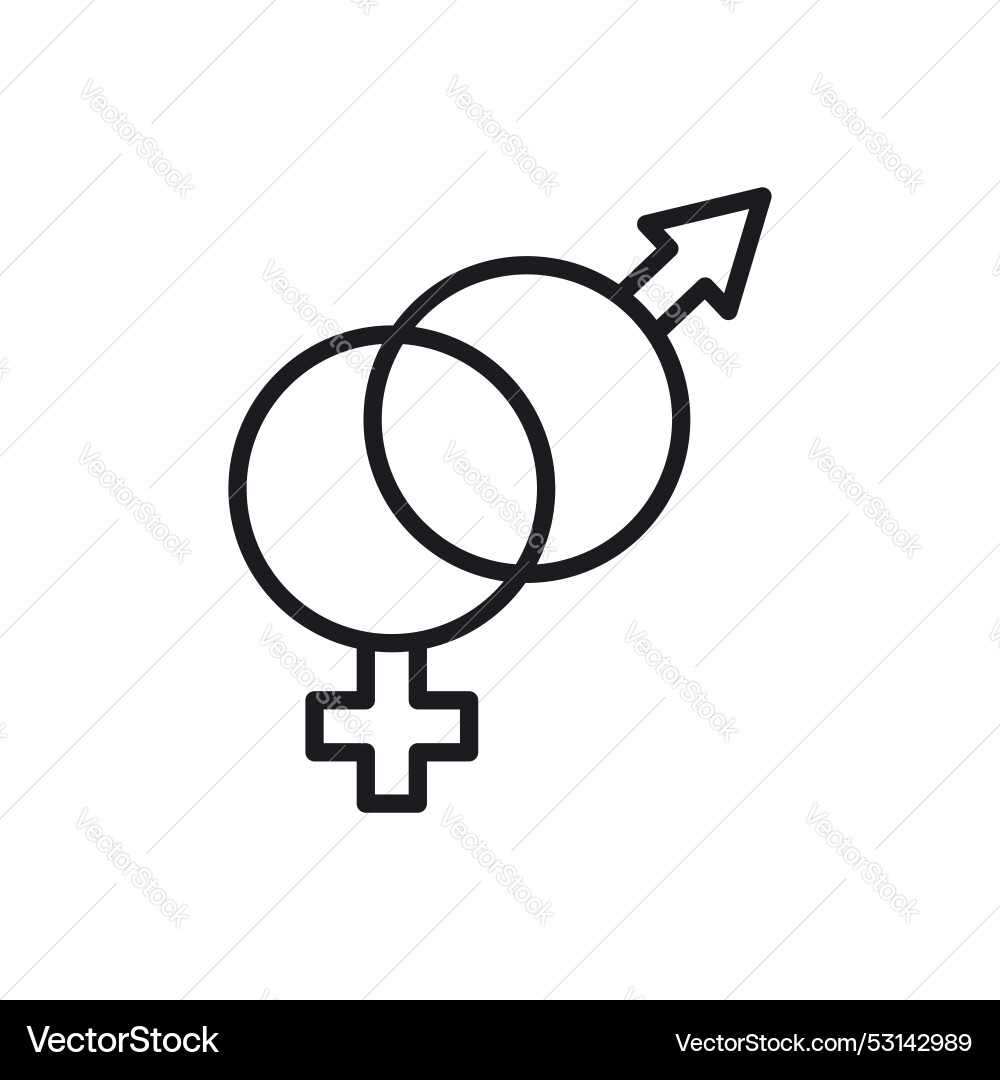 Heterosexual gender symbol icon on white Vector Image