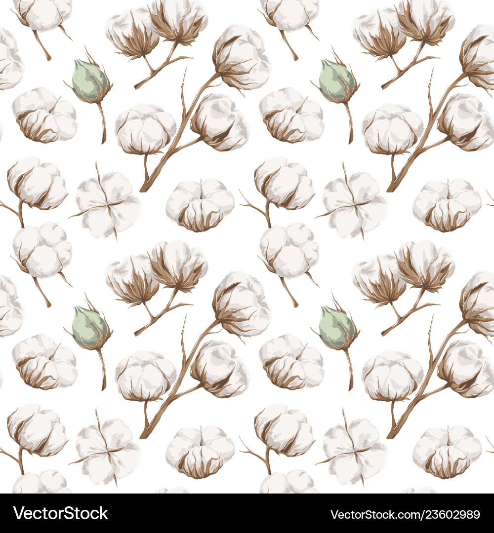 Seamless cotton pattern Royalty Free Vector Image