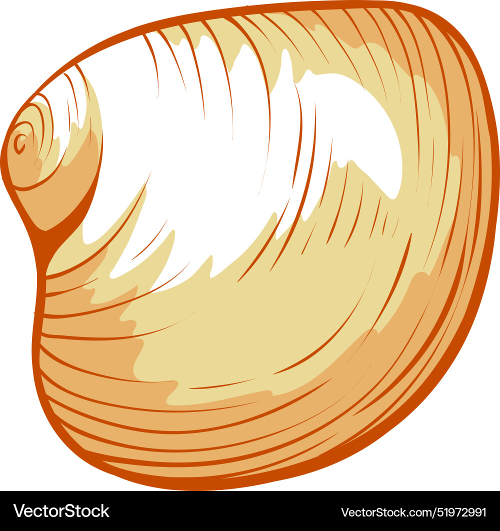 Hand-drawn of a single clam shell Royalty Free Vector Image