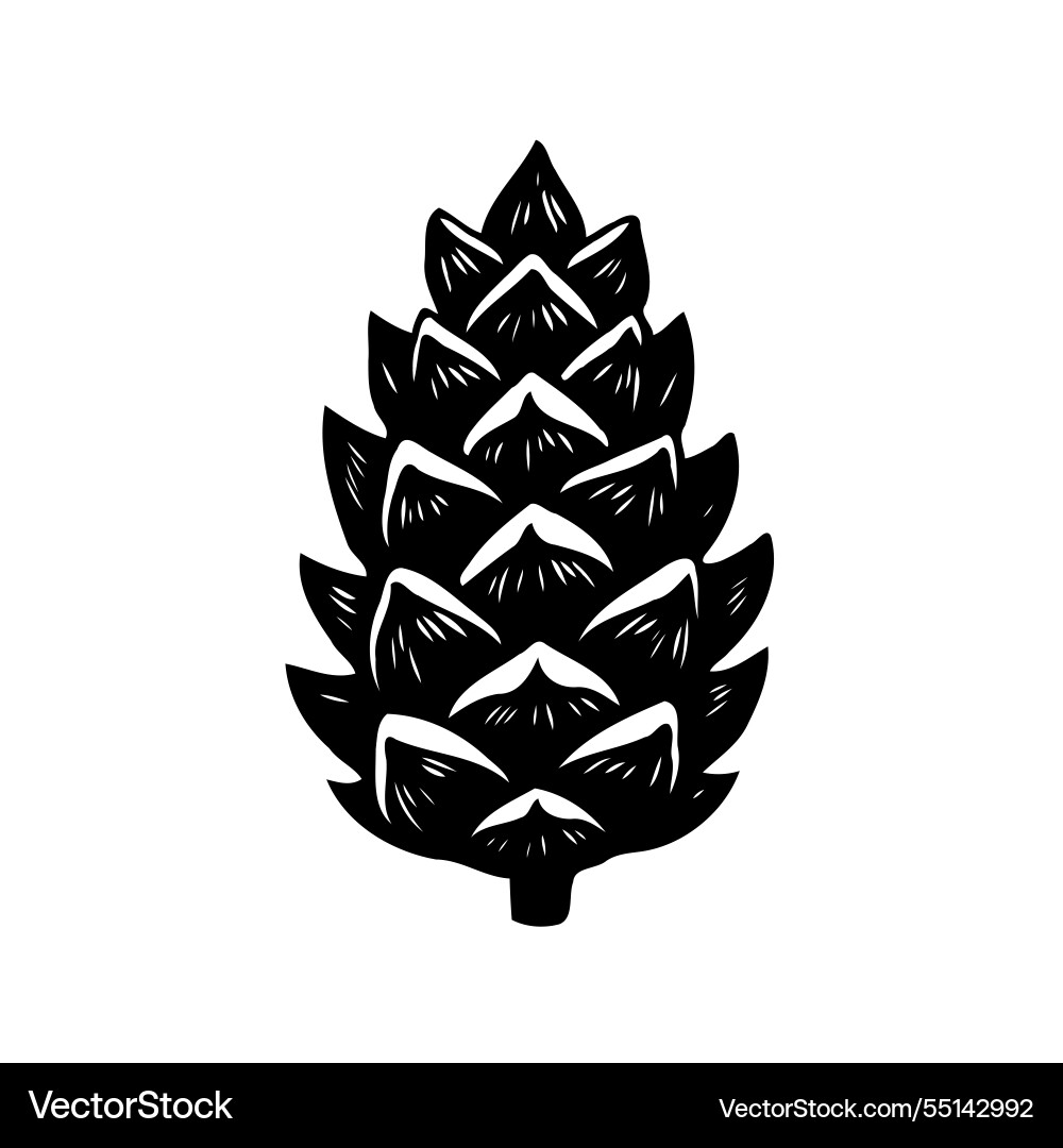 Black and white pine cone Royalty Free Vector Image