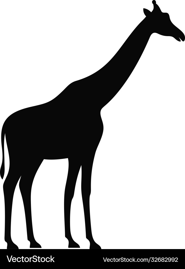 Giraffe Royalty Free Vector Image - VectorStock