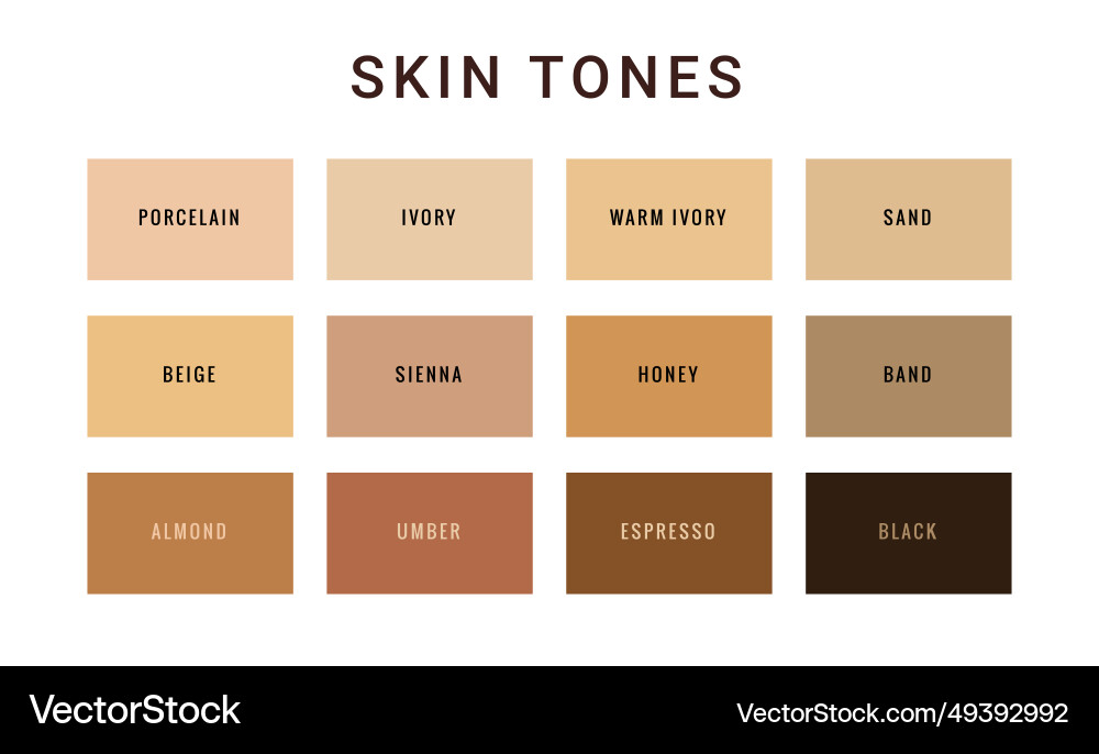 Brown Skin Tone Chart Skin Colors Chart Stock Vector. Illustration Of