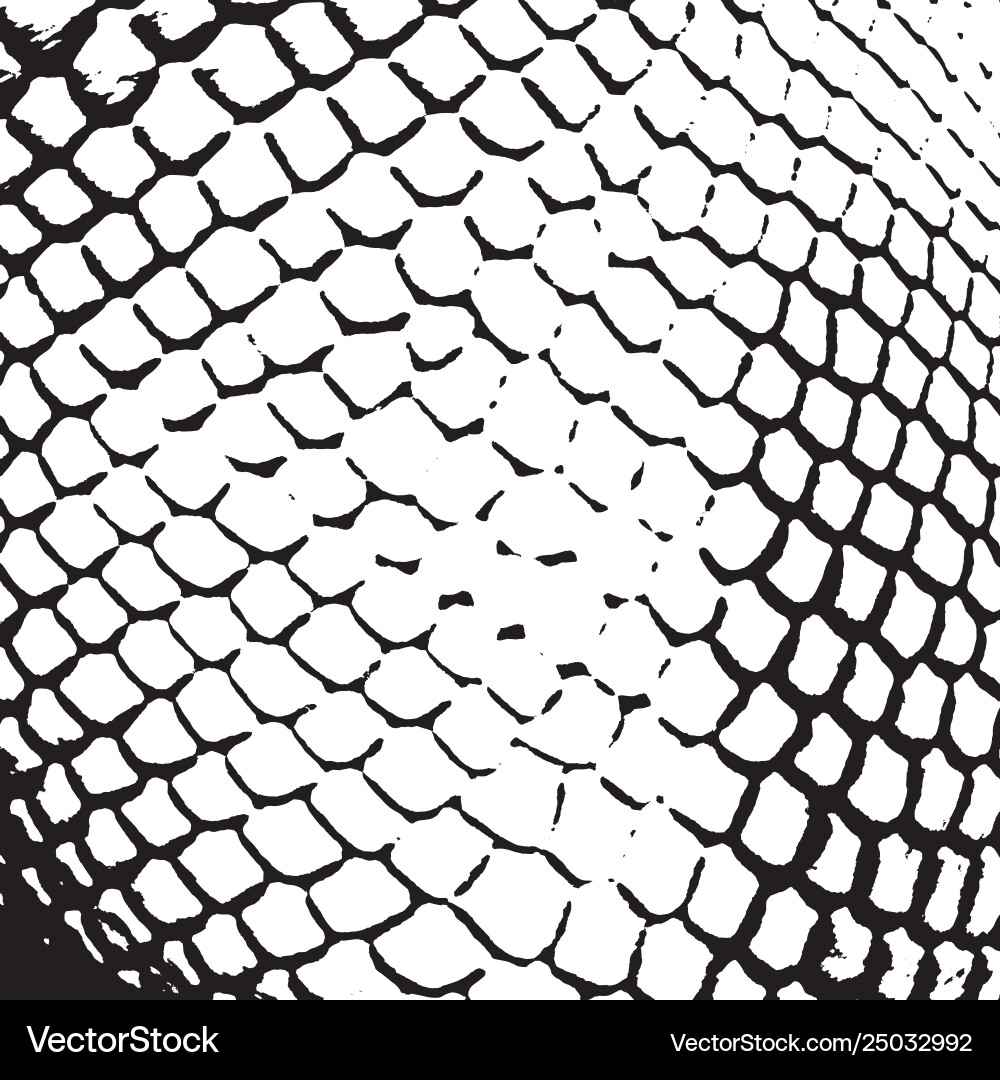 Snake Skin Texture Overlay Royalty Free Vector Image