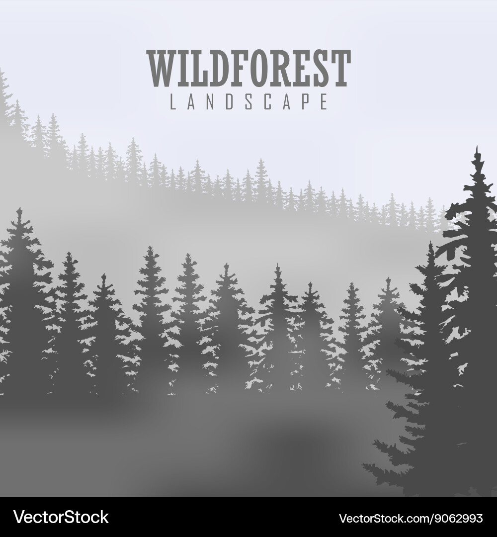Coniferous Forest Landscape Royalty Free Vector Image
