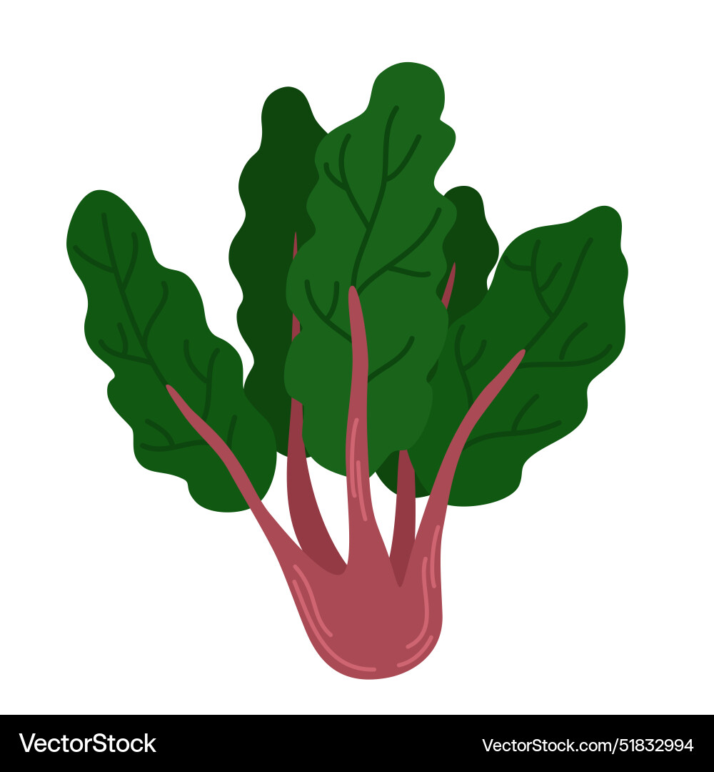 2062 vegetables swiss Royalty Free Vector Image