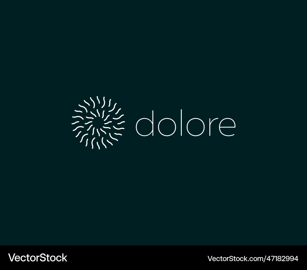 Abstract explosion logo firework flat logotype Vector Image