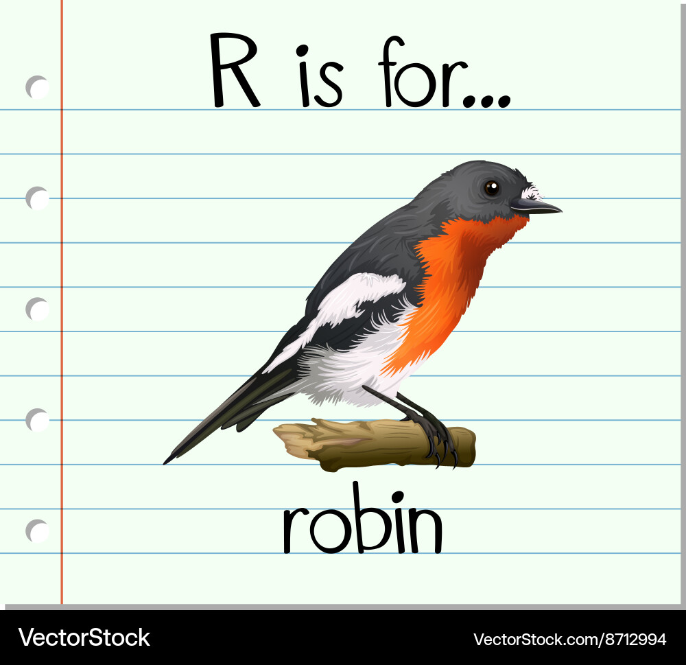 Flashcard letter r is for robin Royalty Free Vector Image
