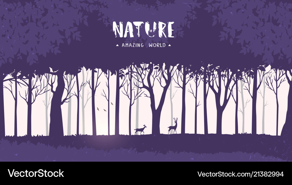 Forest Royalty Free Vector Image - VectorStock