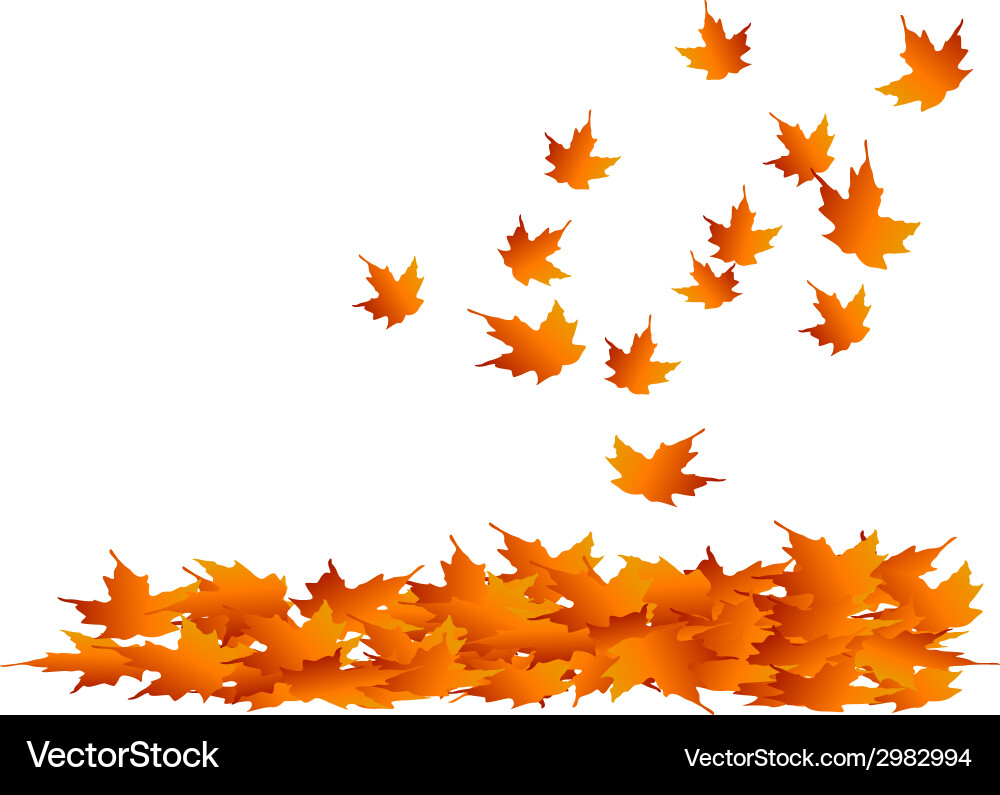 Maple-leaves falling Royalty Free Vector Image