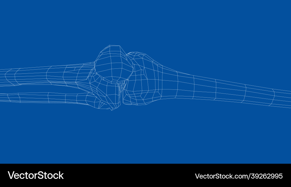 Human skeleton Royalty Free Vector Image - VectorStock