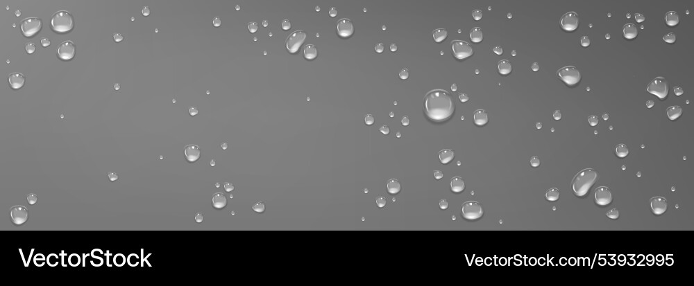 Rain water drops on grey glass surface Royalty Free Vector