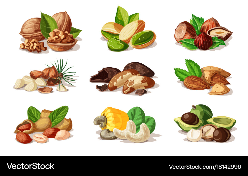 Cartoon colorful nuts set Royalty Free Vector Image