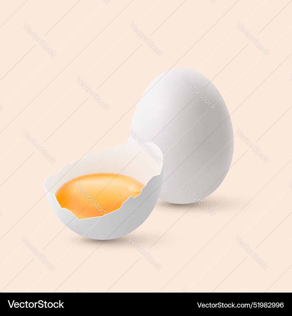 Chicken eggs Royalty Free Vector Image - VectorStock