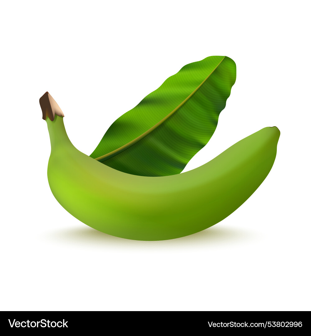 Delicious banana fruit design Royalty Free Vector Image