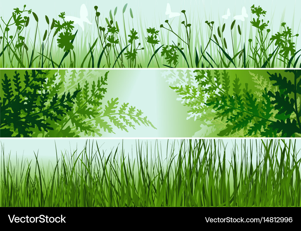 Three nature banners Royalty Free Vector Image