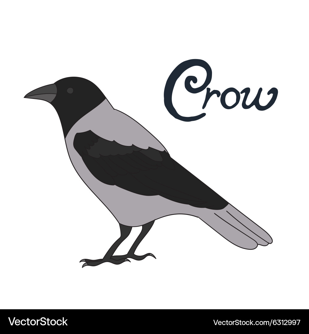 Bird crow Royalty Free Vector Image - VectorStock