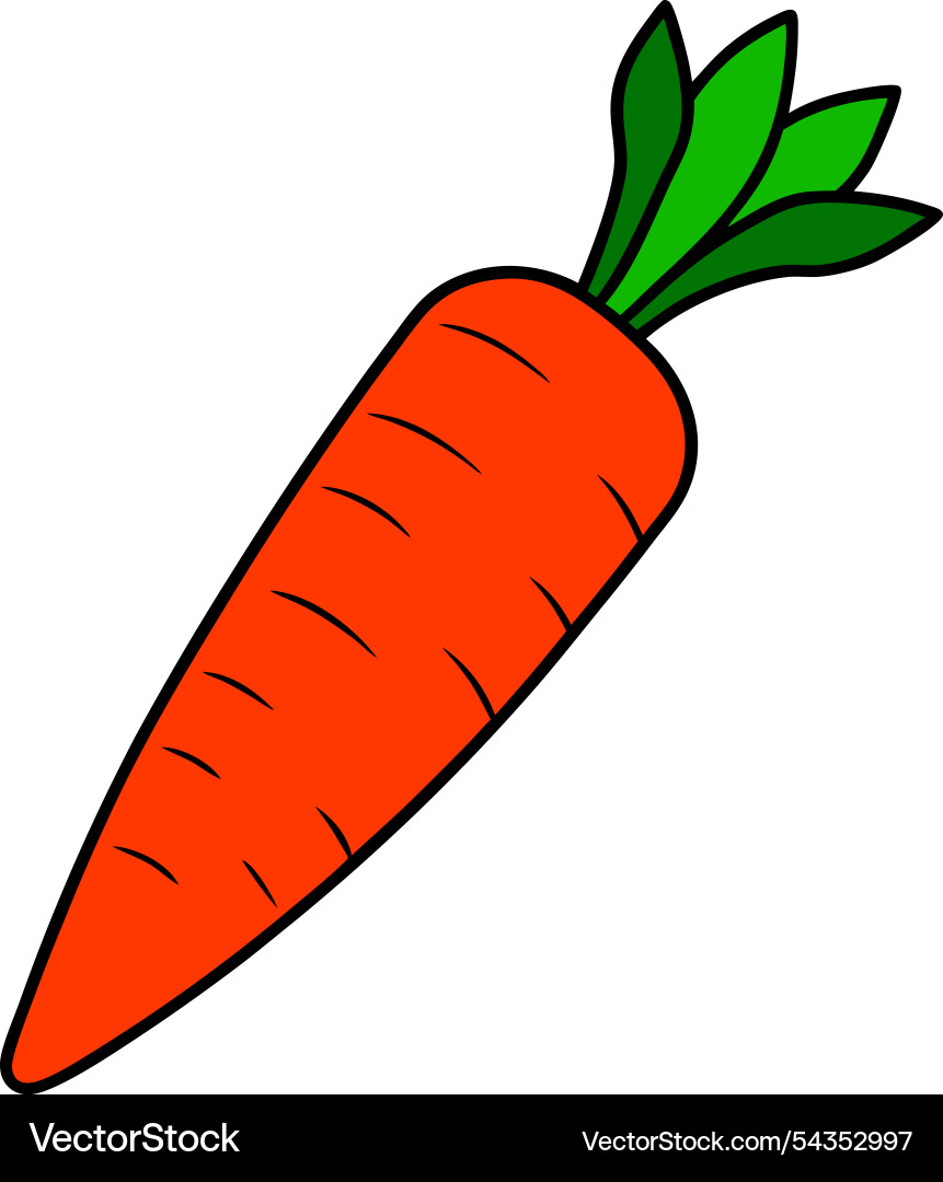 Carrot Royalty Free Vector Image - VectorStock