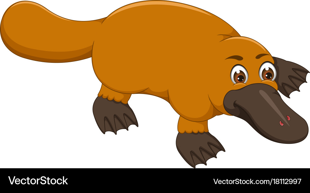 Cute platypus cartoon crawl with smile Royalty Free Vector