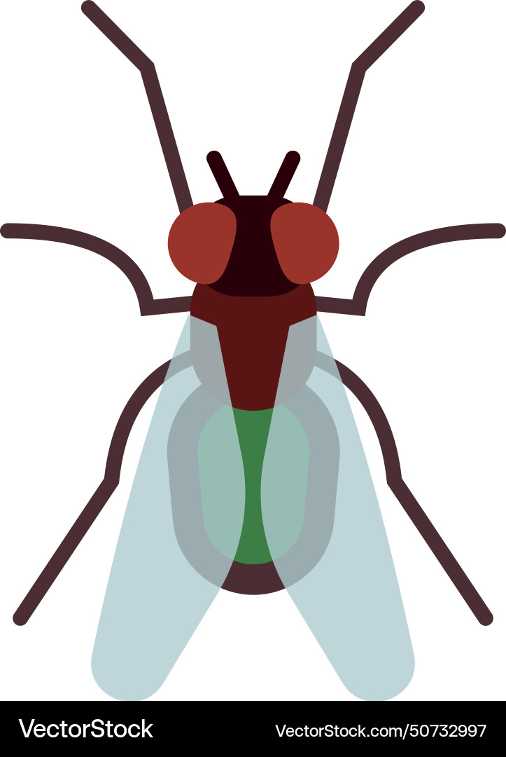 Fly insect icon color pest flying Royalty Free Vector Image