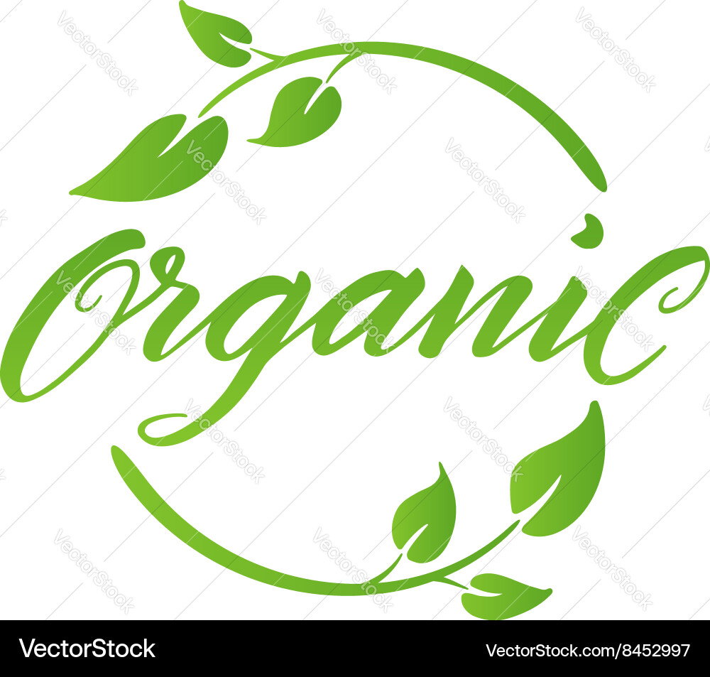 Organic Brush Lettering Logo Royalty Free Vector Image