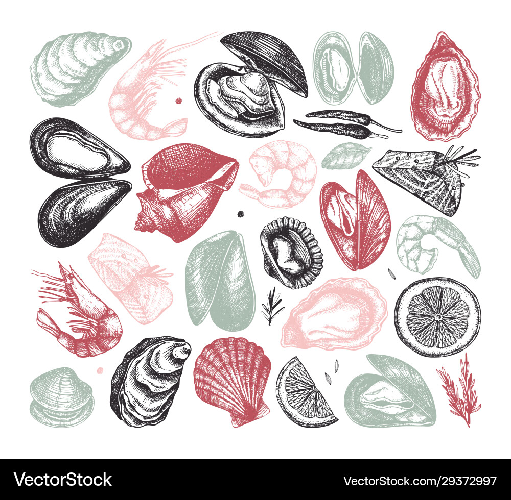 Seafood collection hand drawn fish shellfish Vector Image
