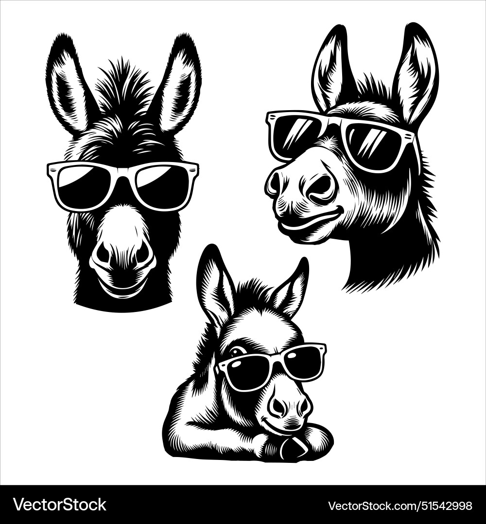Donkey svg Royalty Free Vector Image - VectorStock
