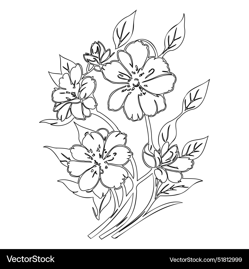 Sakura flower outline sketch Royalty Free Vector Image