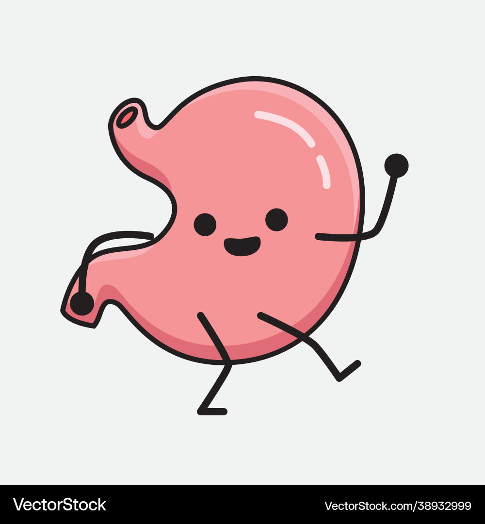 Stomach character with cute face and simple body Vector Image
