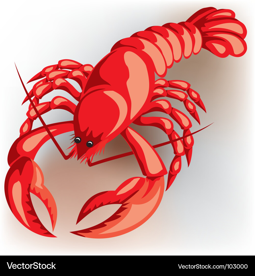 Cancer Fish Vector Images (over 4,600)