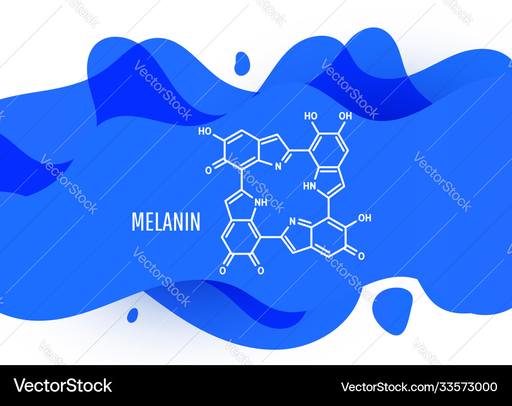 Melanin structural chemical formula with blue Vector Image