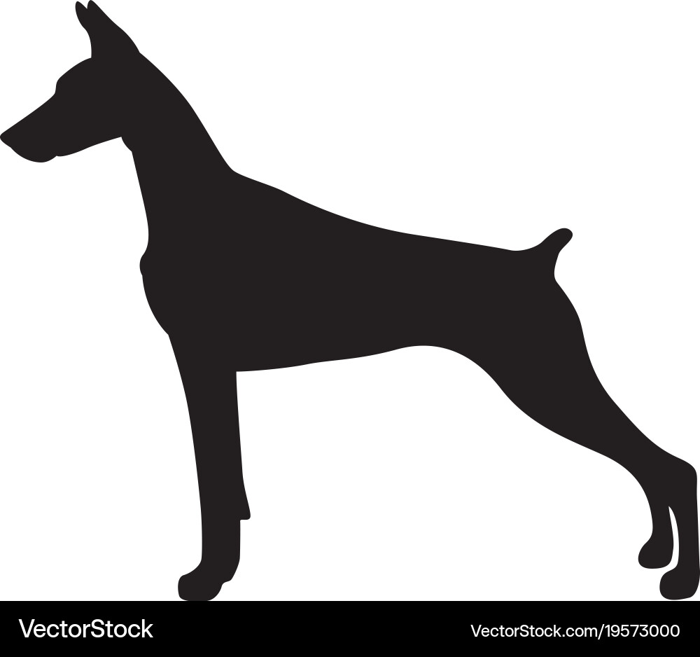 Shadow doberman dog Royalty Free Vector Image - VectorStock