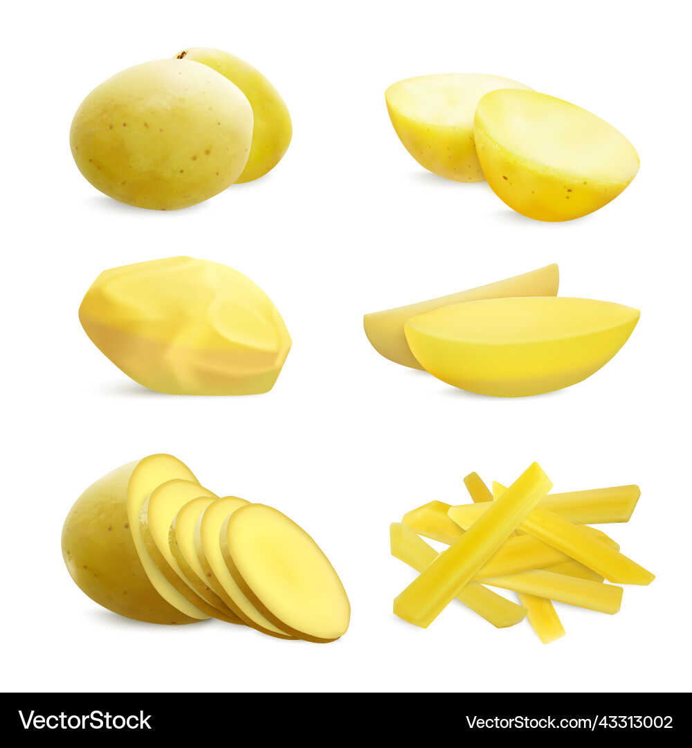 Potato cooking realistic set Royalty Free Vector Image