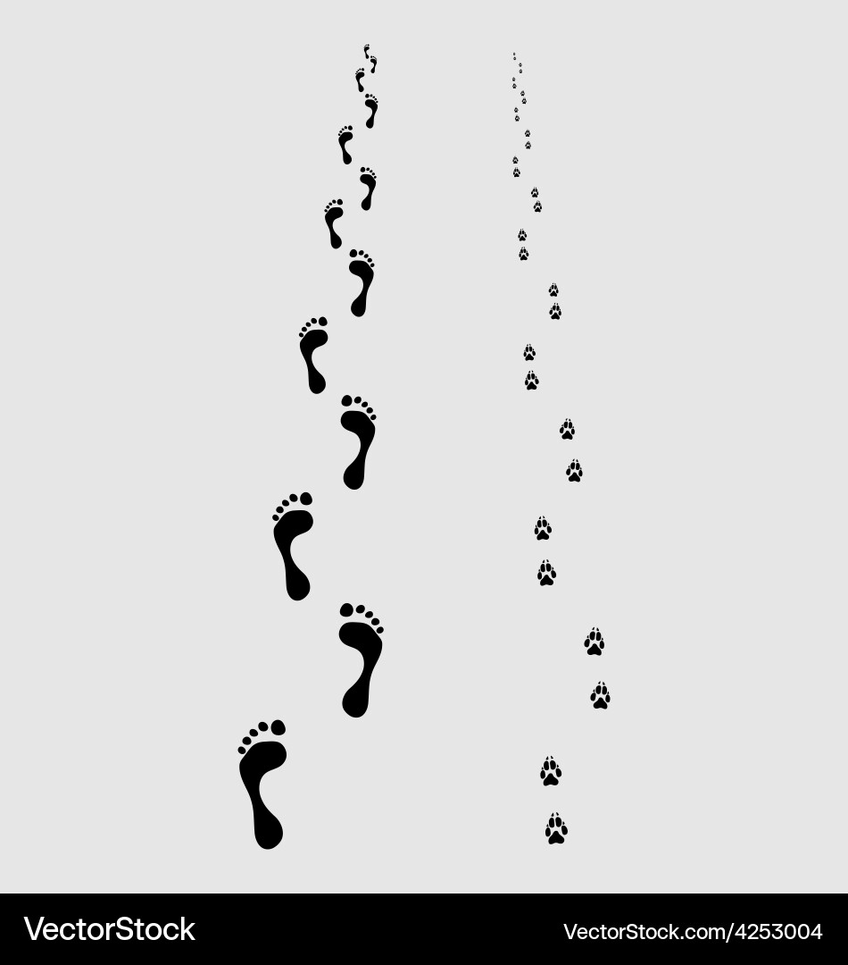 Footprints Royalty Free Vector Image - VectorStock