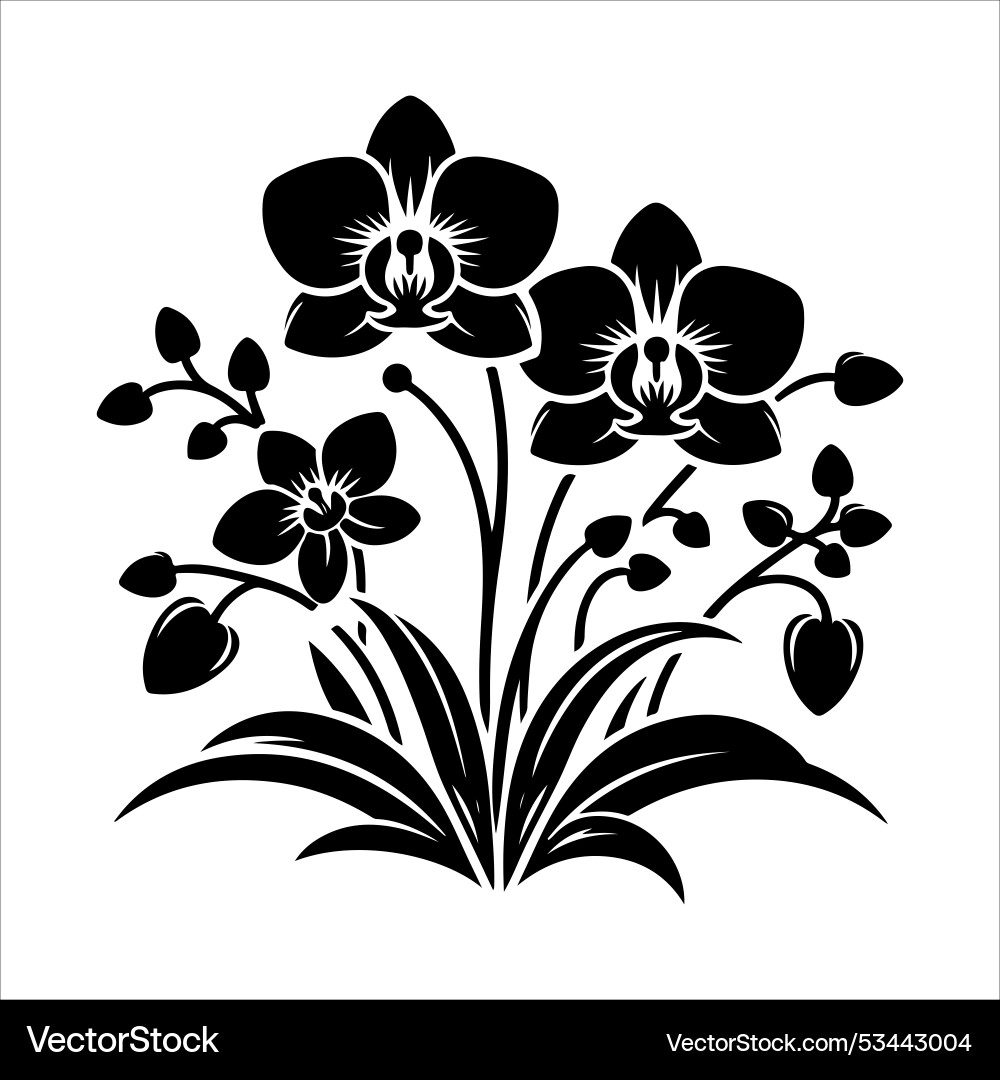 Orchid art Royalty Free Vector Image - VectorStock
