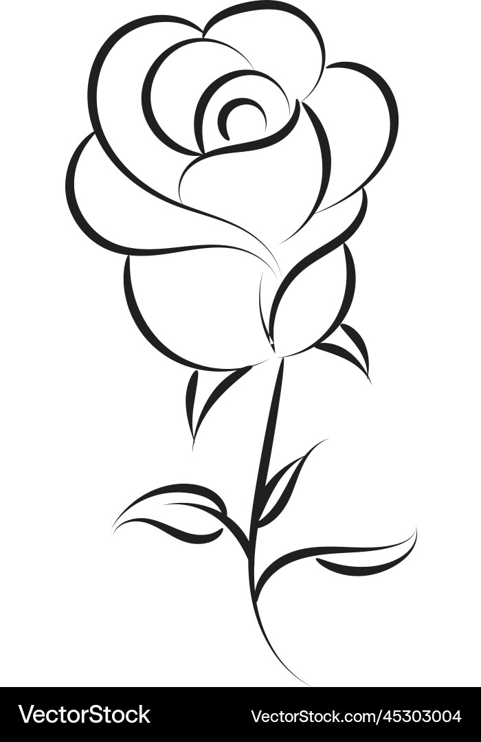 Rose image line art tattoo Royalty Free Vector Image