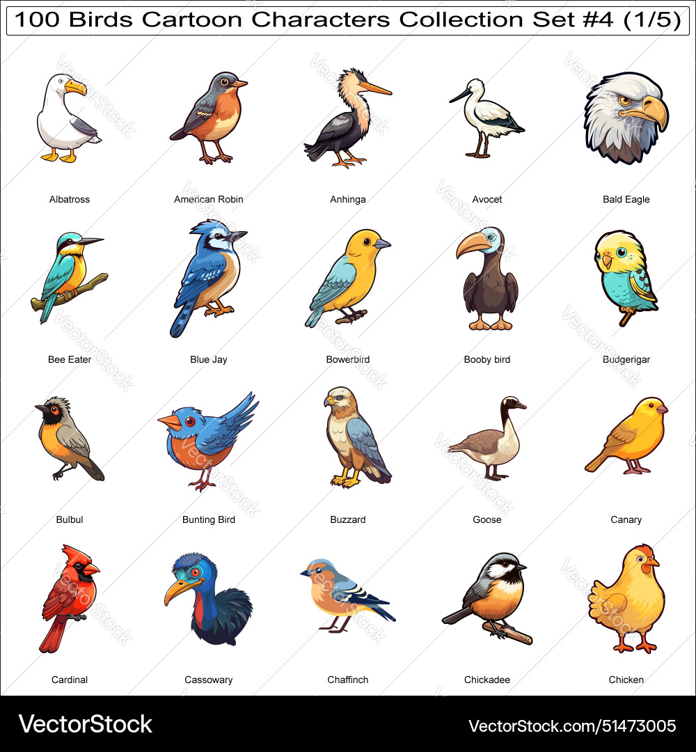 Birds Cartoon Images With Names Free - Infoupdate.org