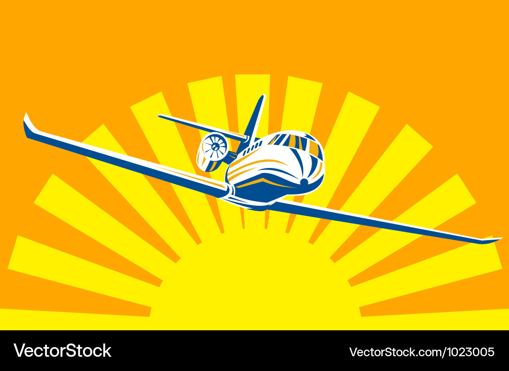 Corporate jet aircraft Royalty Free Vector Image