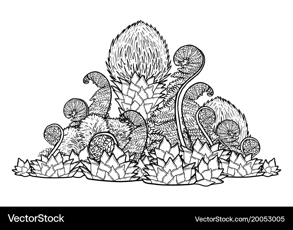 Graphic prehistoric plants Royalty Free Vector Image