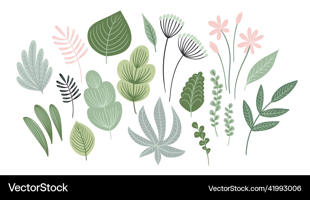 Abstract Botanical Leaves and Flowers Royalty Free Vector