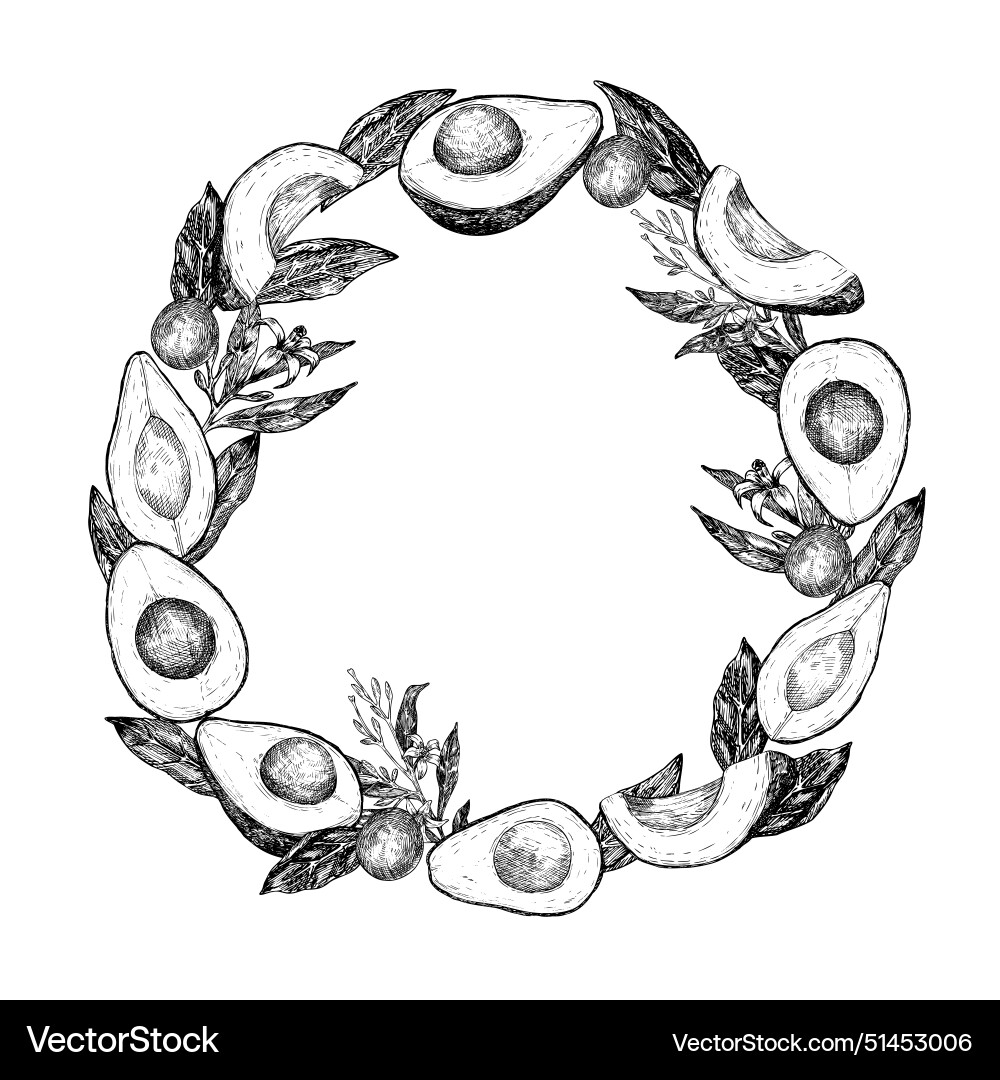 Avocado hass graphic circle Royalty Free Vector Image