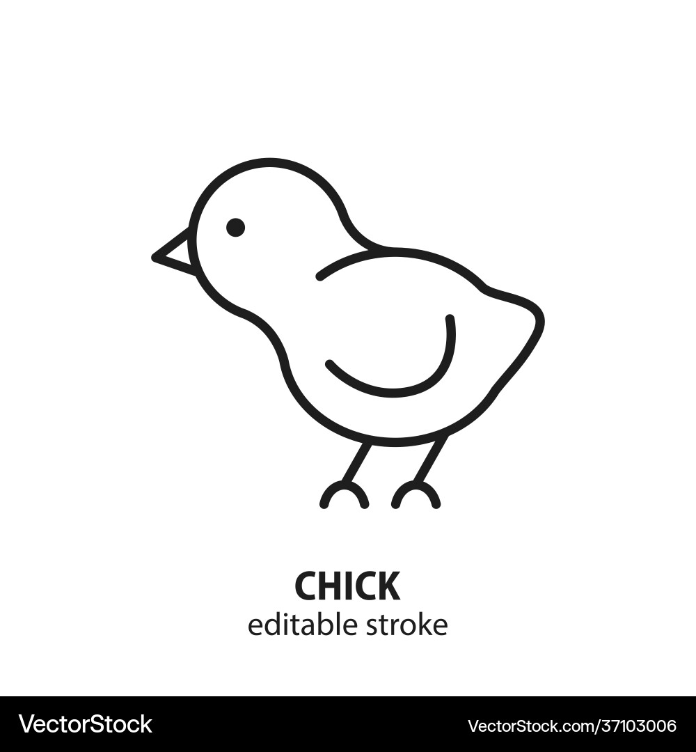 Chick flat line icon editable stroke Royalty Free Vector