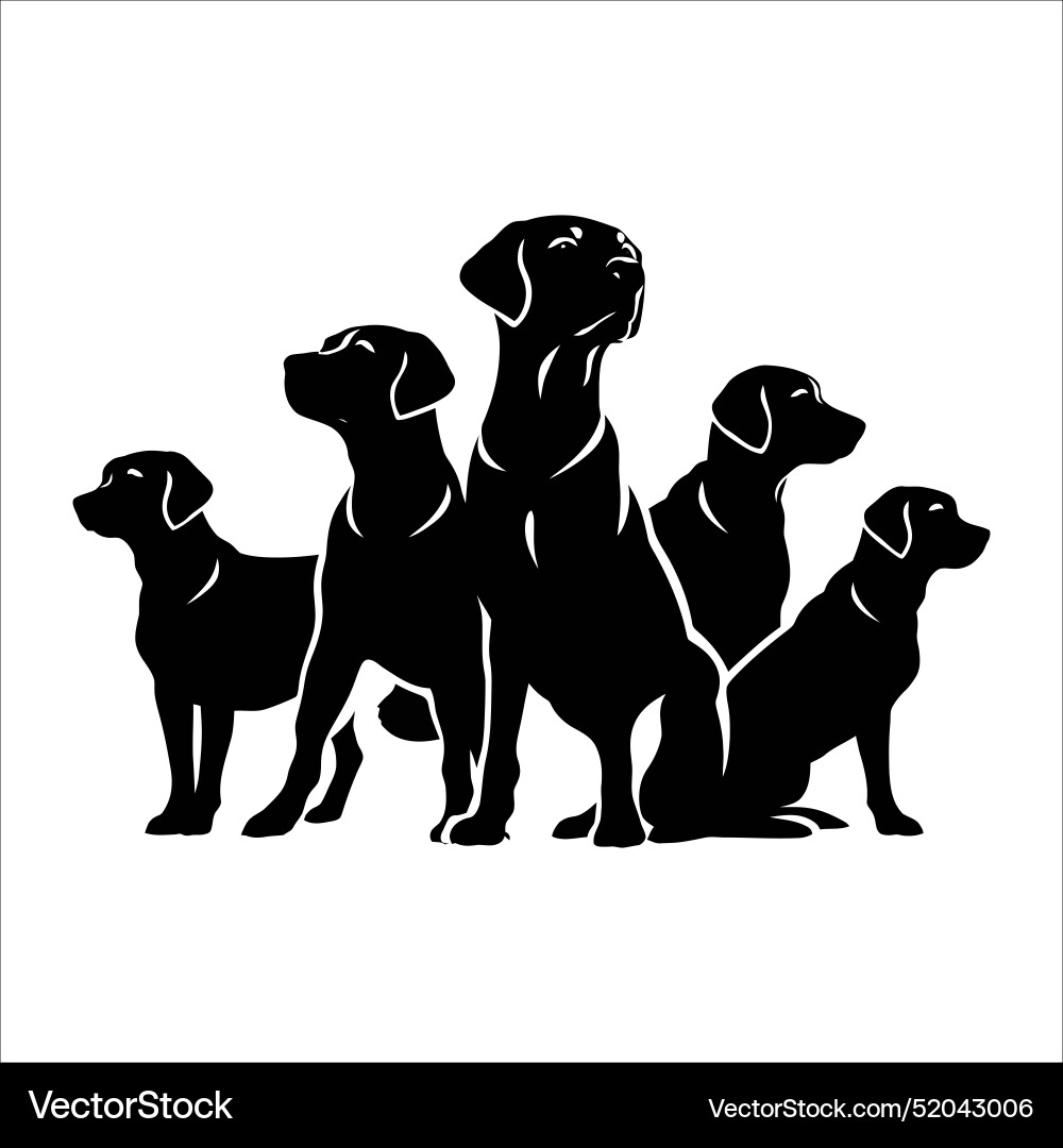 Labrador retriever dog silhouette set animals Vector Image
