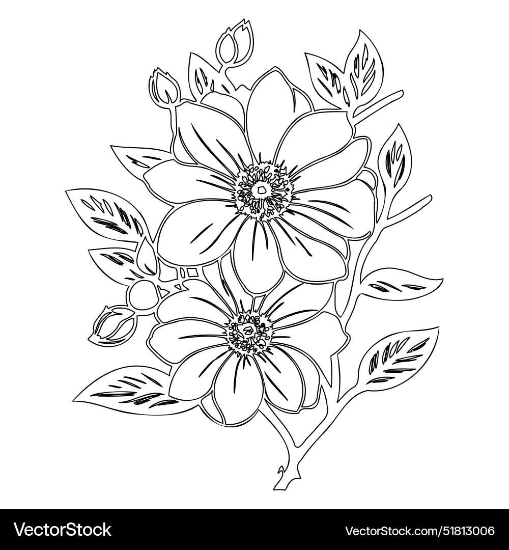 Sakura flower outline sketch Royalty Free Vector Image