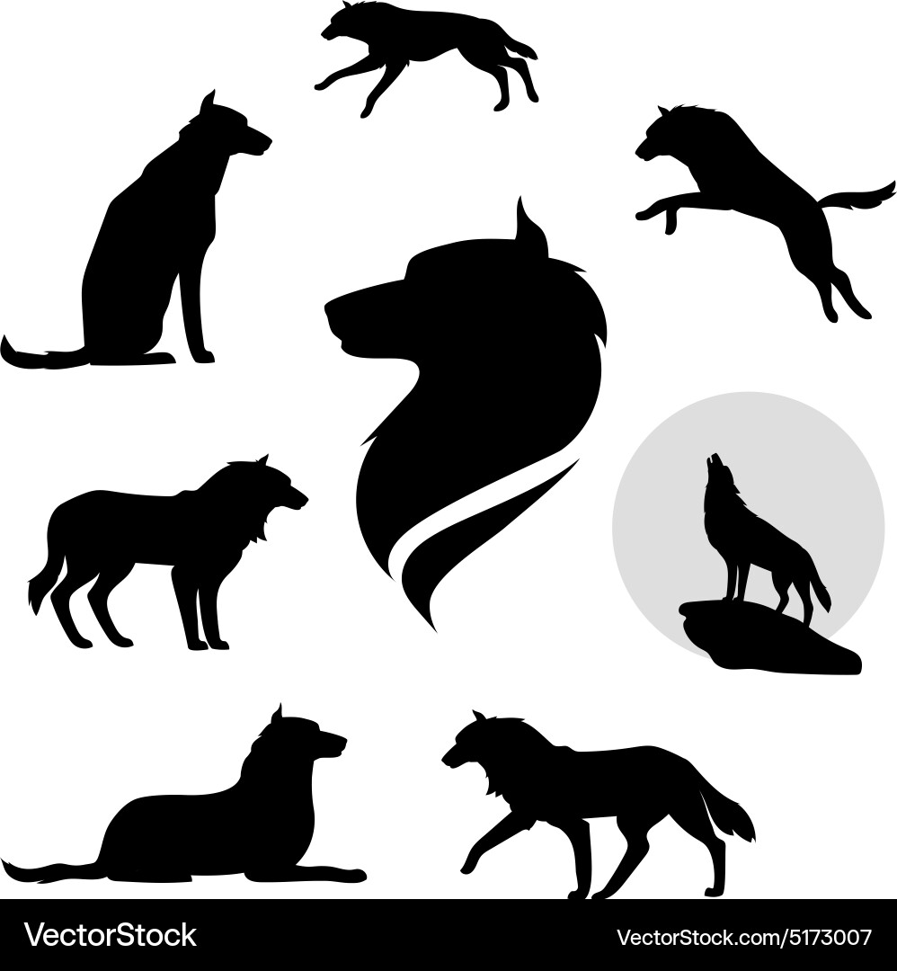 Wolf set Royalty Free Vector Image - VectorStock